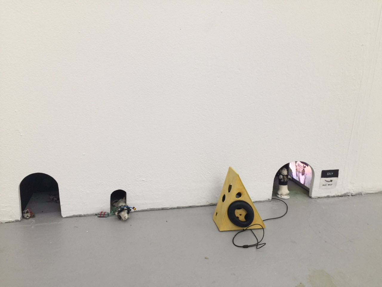 Polly Bates, An Artist's Journal