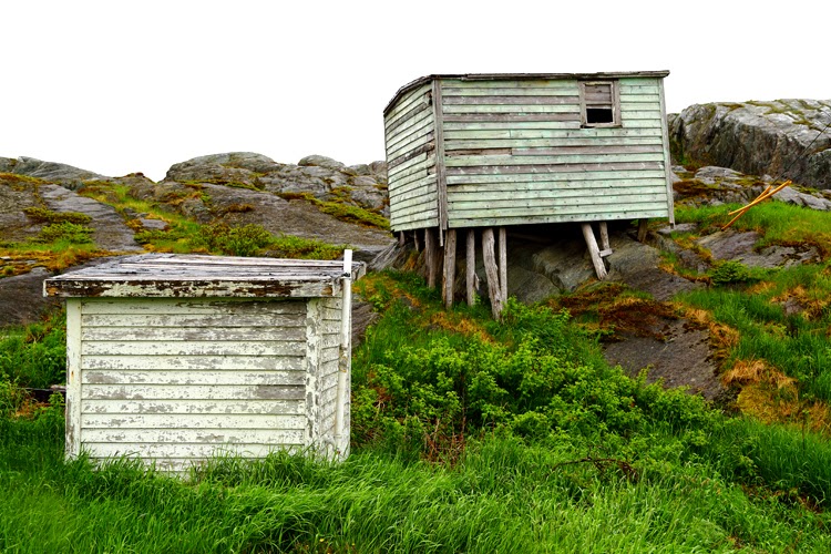 20/20: G. Tod Slone Eye on Newfoundland and Labrador