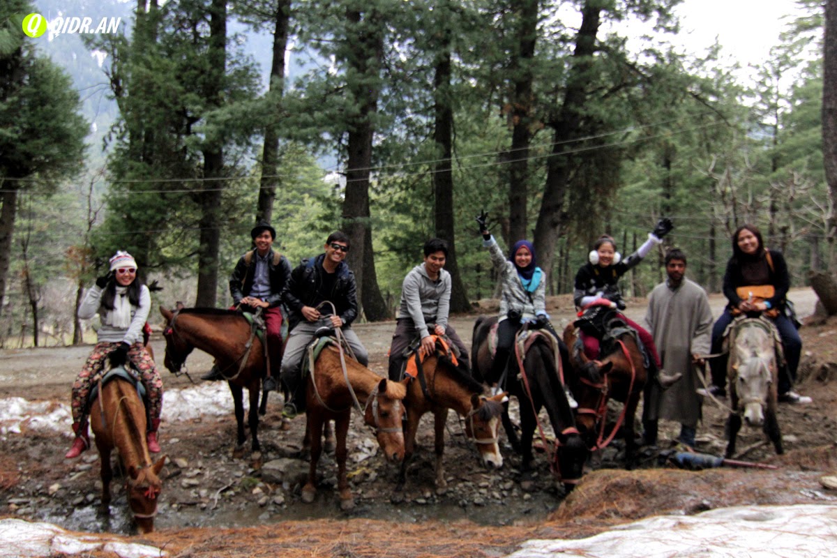 qidr.an ©: Kashmir 2014 | Day 3 Pahalgam : Pony ride