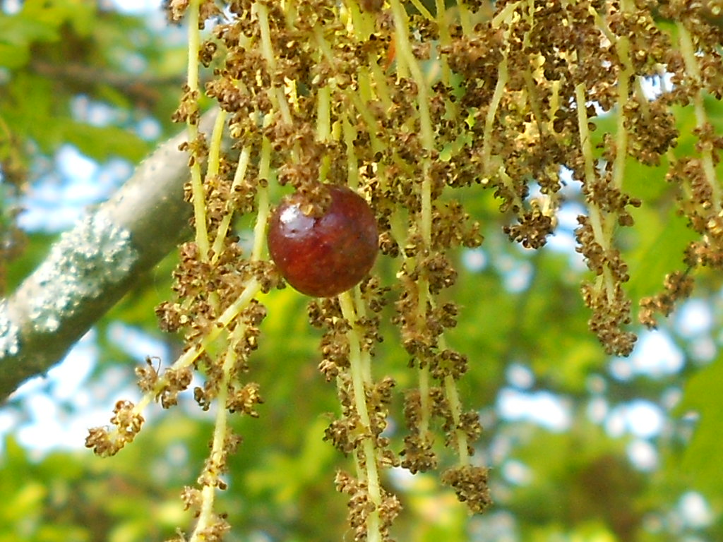 Tony's Blog: Fawsley Park