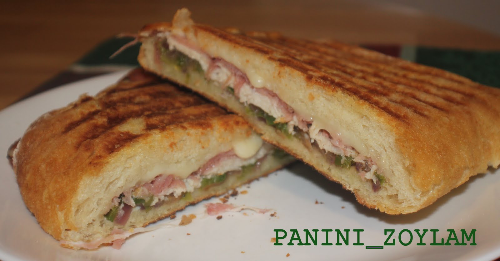 AmiestiloPeru: PANINI