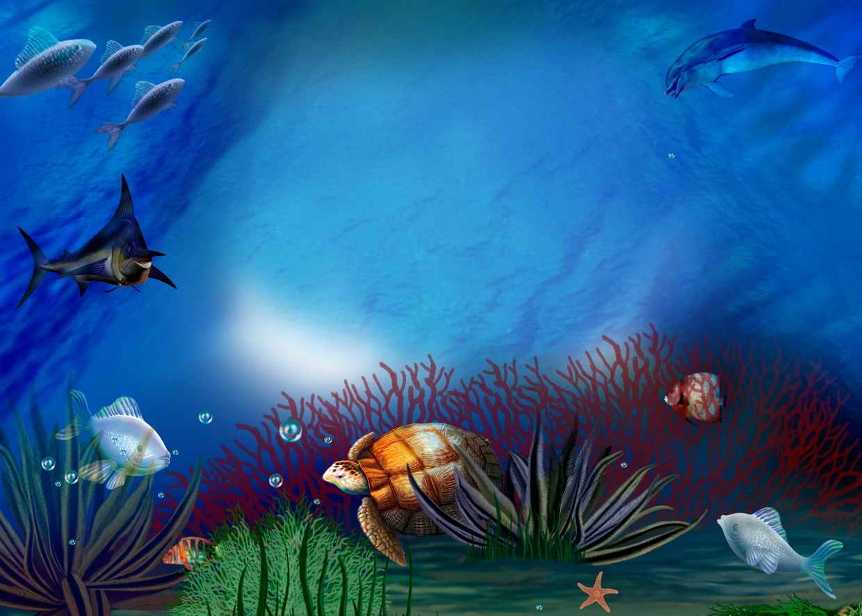 underwater psd photo frame frames - PSD