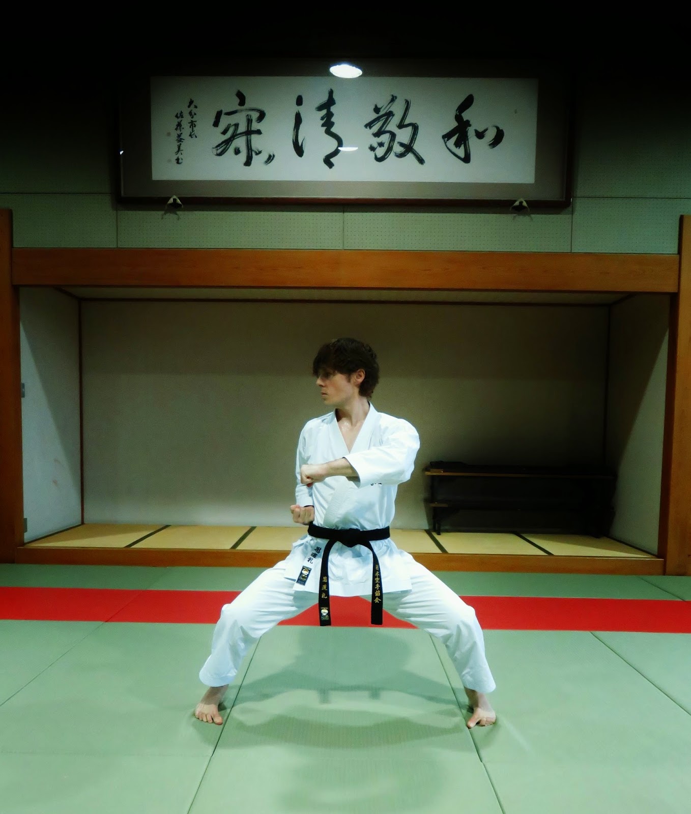 André Bertel's Karate-Do: Progressing in Karate-Do forward requires the ...