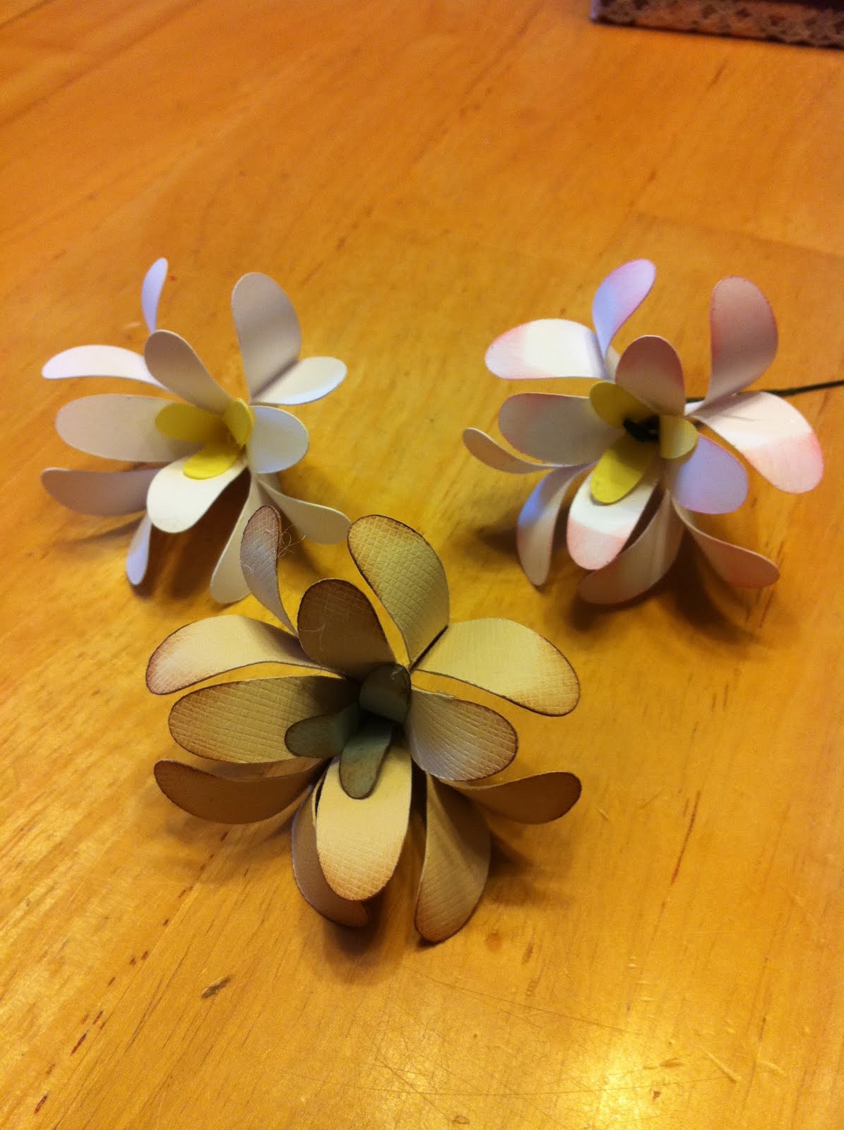 1000+ images about Papercrafting flowers on Pinterest | Paper Flowers ...