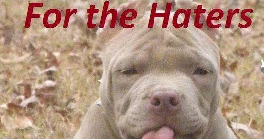 Pit Nutter Circus: Grumpy Puppy