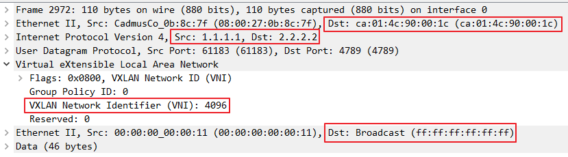Dynamic MAC Address Learning: How It Works