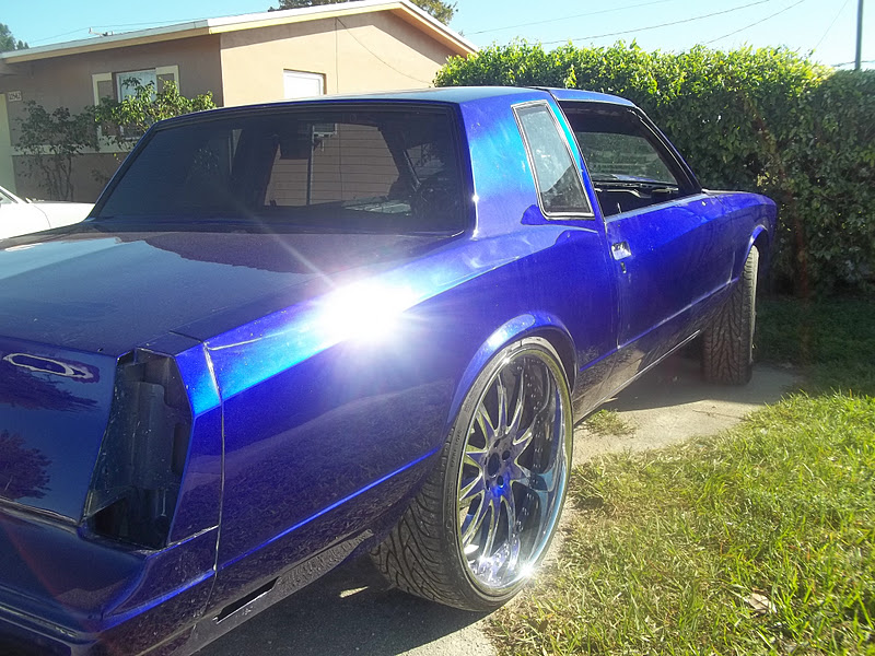 PHOTOGRAPHY BY MIAMIEARL: MONTE CARLO SS T-TOP ON 24'S PAINT BY WET WILLIE