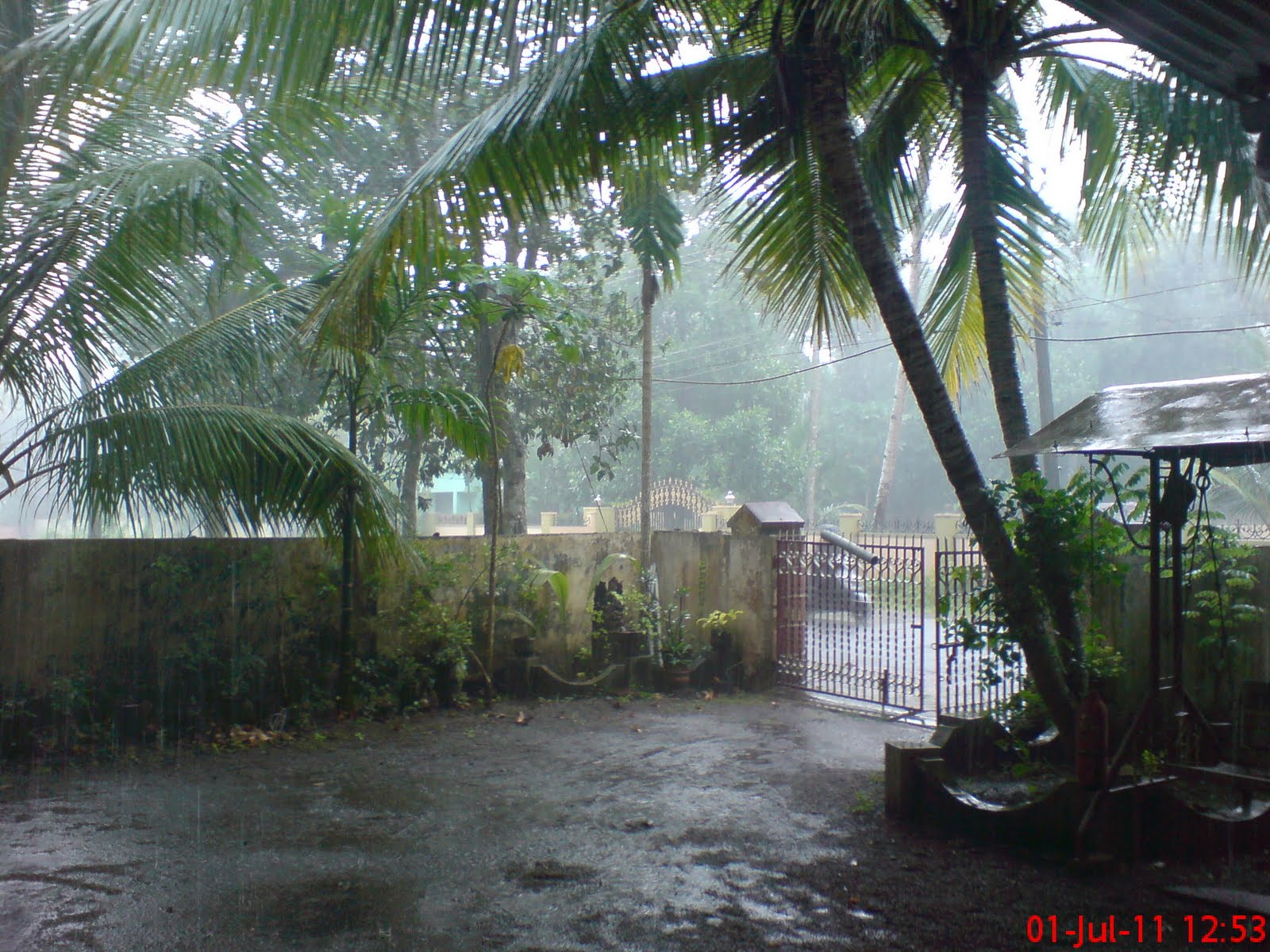 indianDream: Rains @ Kerala - and stills that convey falling rain