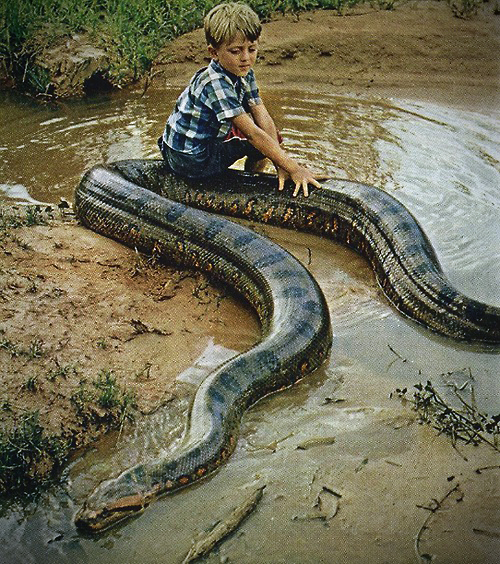 Pretty Pictures: 4/10/11 - 4/17/11