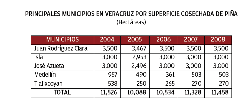 SIEMBRA Y PROCESAMIENTO DE LA PIÑA: PRODUCCION DE PIÑA EN MEXICO