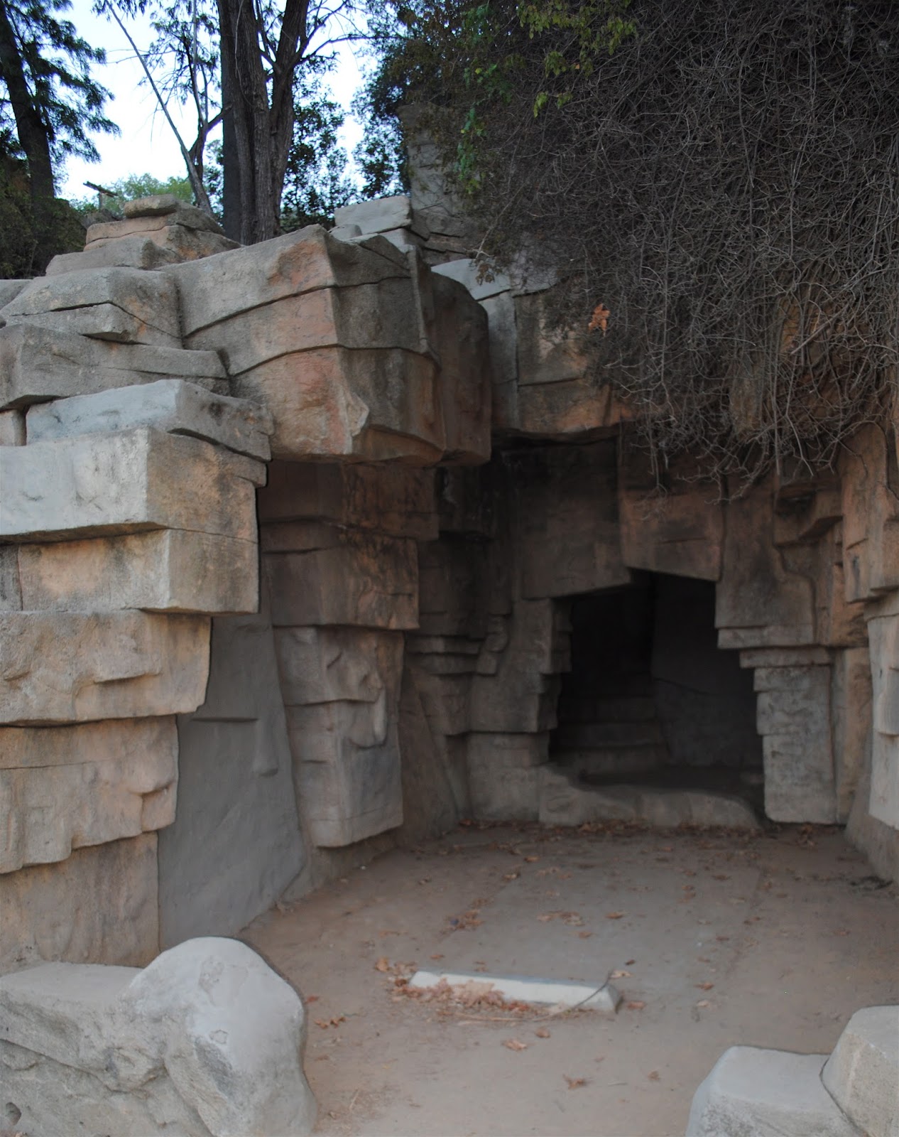 wacky tacky: Senior Day at the Abandoned Zoo