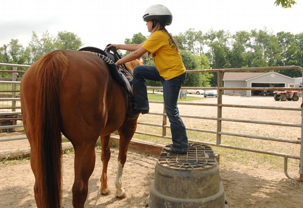 French Vocabulary Illustrated: hisser