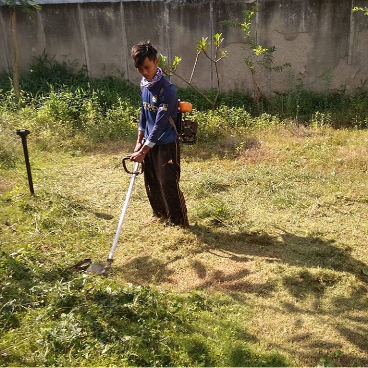 JASA POTONG RUMPUT CIBUBUR
