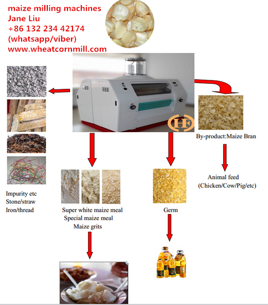 maize mill and wheat flour mill: maize roller mill