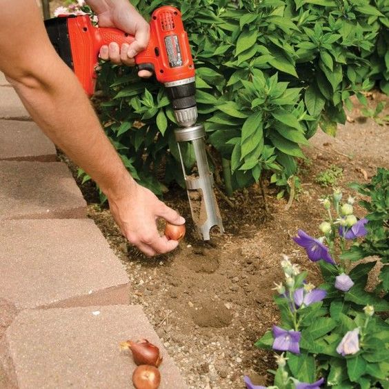 106 Gardening Hacks Ideas - Pinterest Gardening