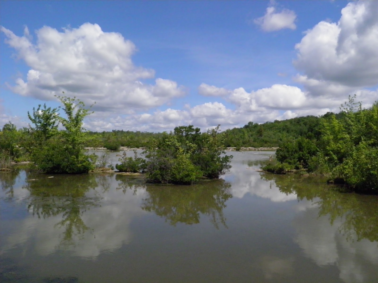 2020 Doug Photo Blog: South Spring Pool