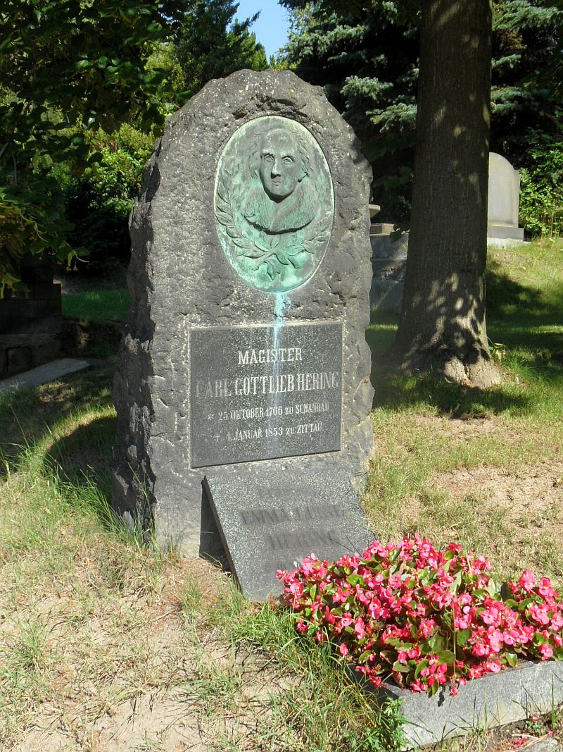 Naturwunder ...: Menschen, die keiner mehr kennt - Magister Carl ...