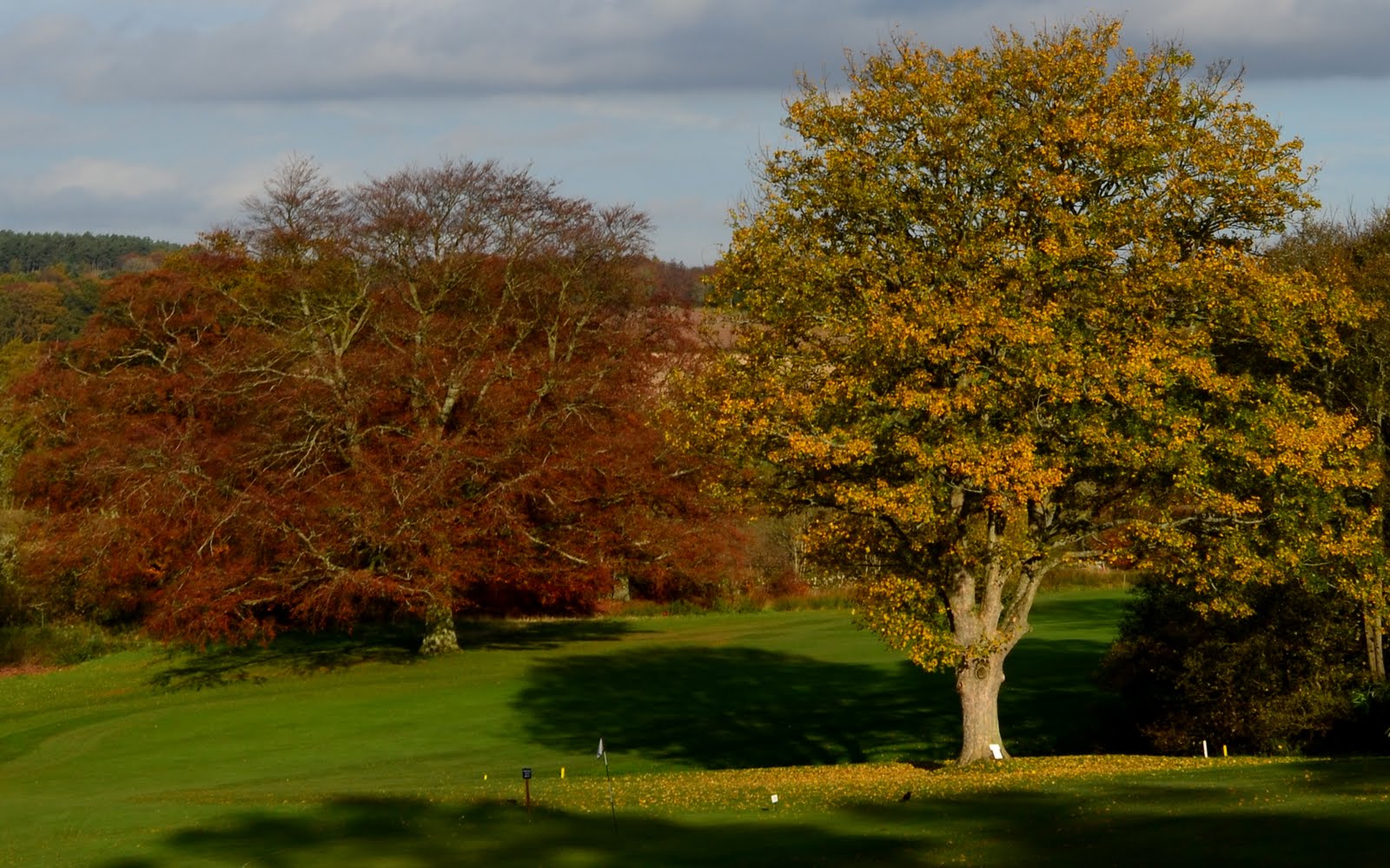 Tour Scotland: Tour Scotland Photograph Autumn Trees Golf Course Scone ...