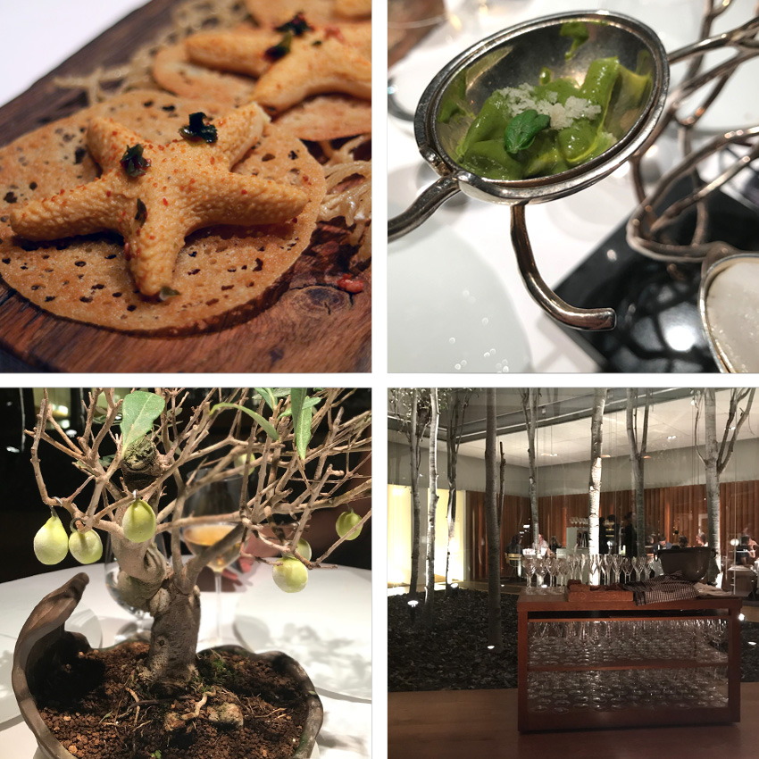 Restaurantes con * MJ: EL CELLER DE CAN ROCA | Girona