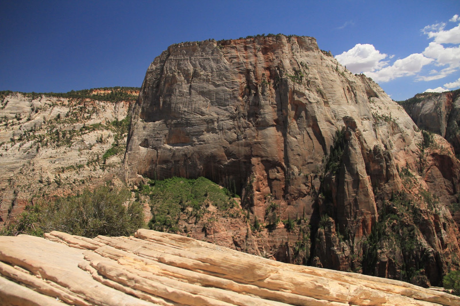 TABARNAK!: ZZZZZIIIOOONNNNNNNNNNNNN!!!!!!!!!!