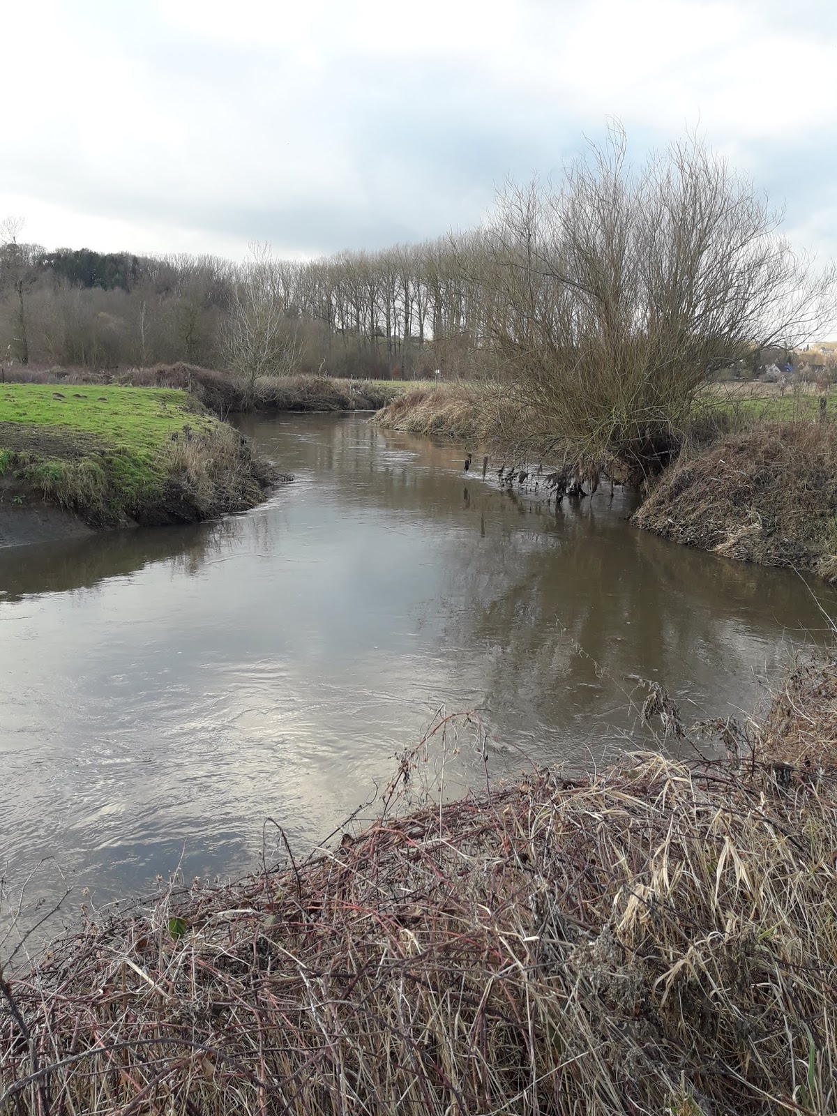 la truite grézienne: Photos parcours de la Dyle