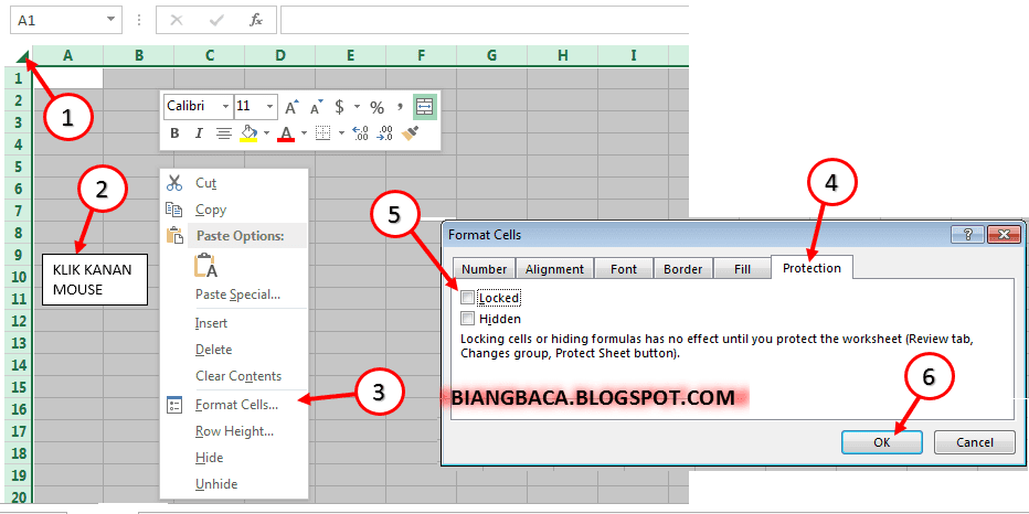 Cara Mengunci Cell Di Excel - Biang Baca