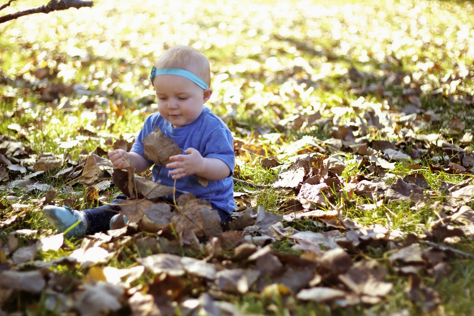 Chasing Davies: How to spend a fall day in Kansas City with your kids