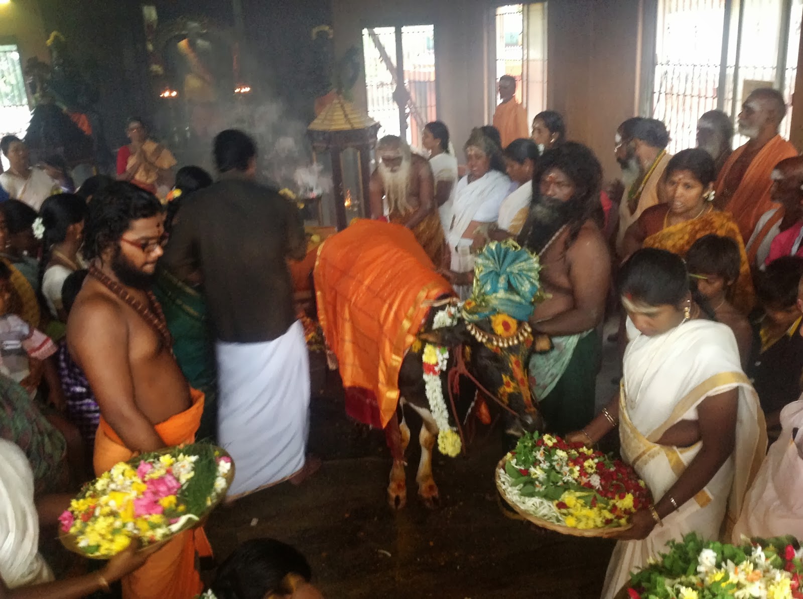 SIDDHAR LIFE BY MAHA SIDDHARGAL TRUST: காகமுனி சித்தர் குருபூஜை