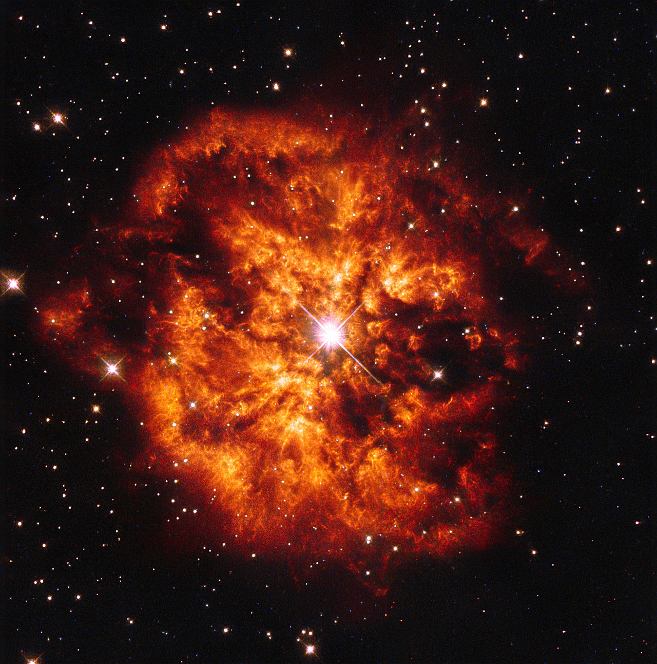 Star WR 124 and Nebula M1-67 | Earth Blog