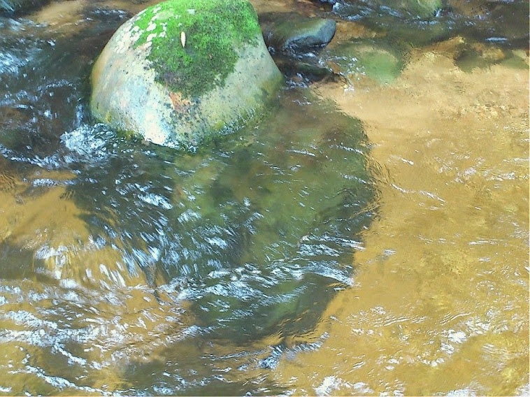 KAMPUNG TEPOI,TEBEDU,SERIAN,SARAWAK