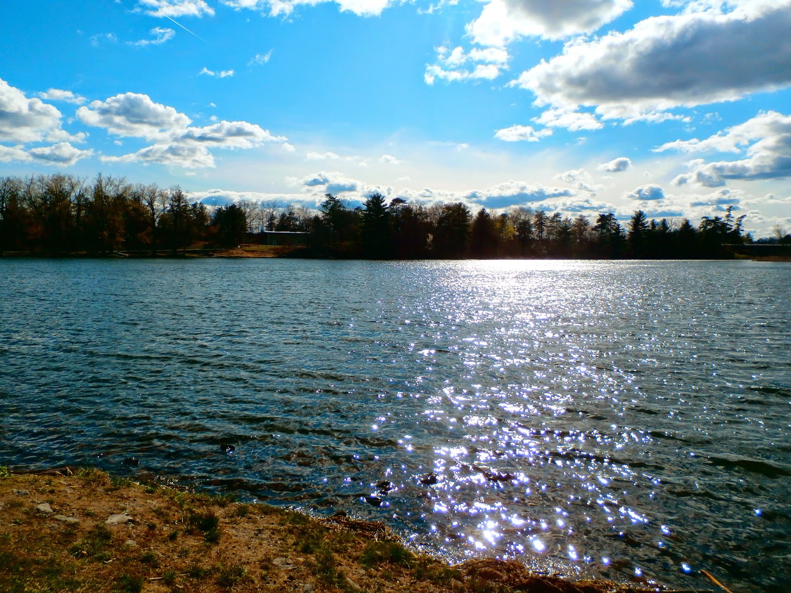 Walking Man 24 7: Ann Lee Pond and Albany Pine Bush(Rensselaer Lake ...