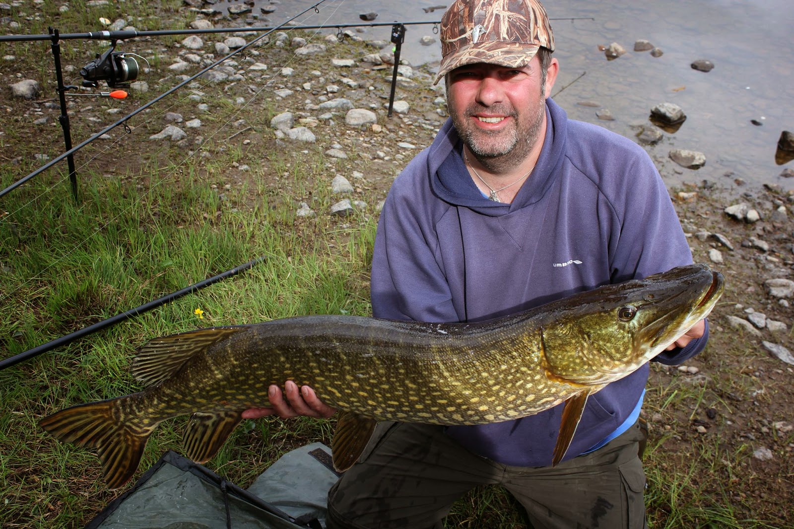 The Pike Pool: Is this what its come to?