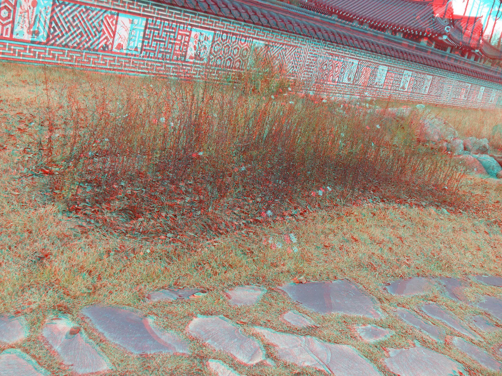 Craig's 3D in the News: Sample 3D Photos Part 12