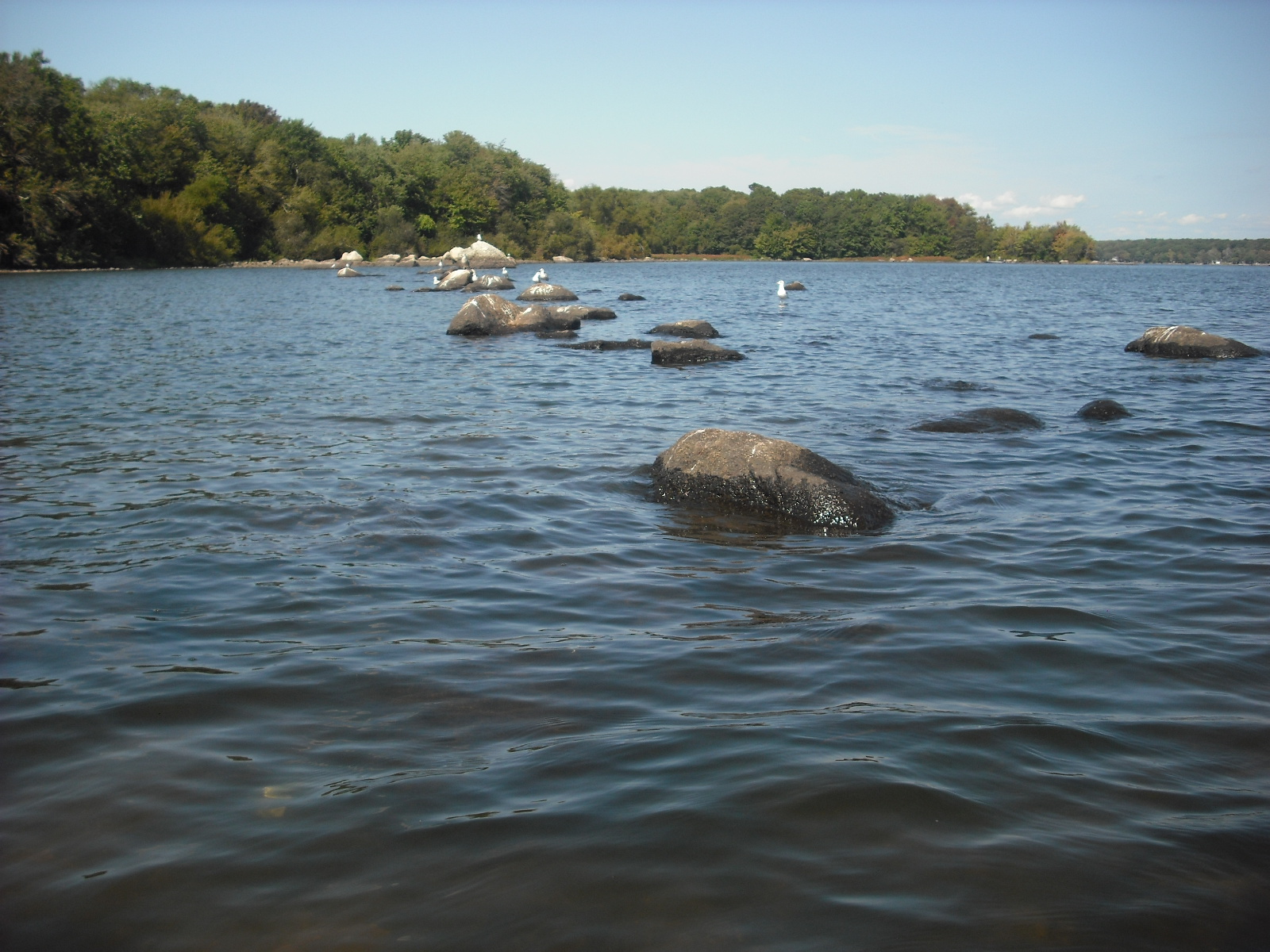 Secret Landscapes: Stone Rows of South Watuppa Pond, West Shore
