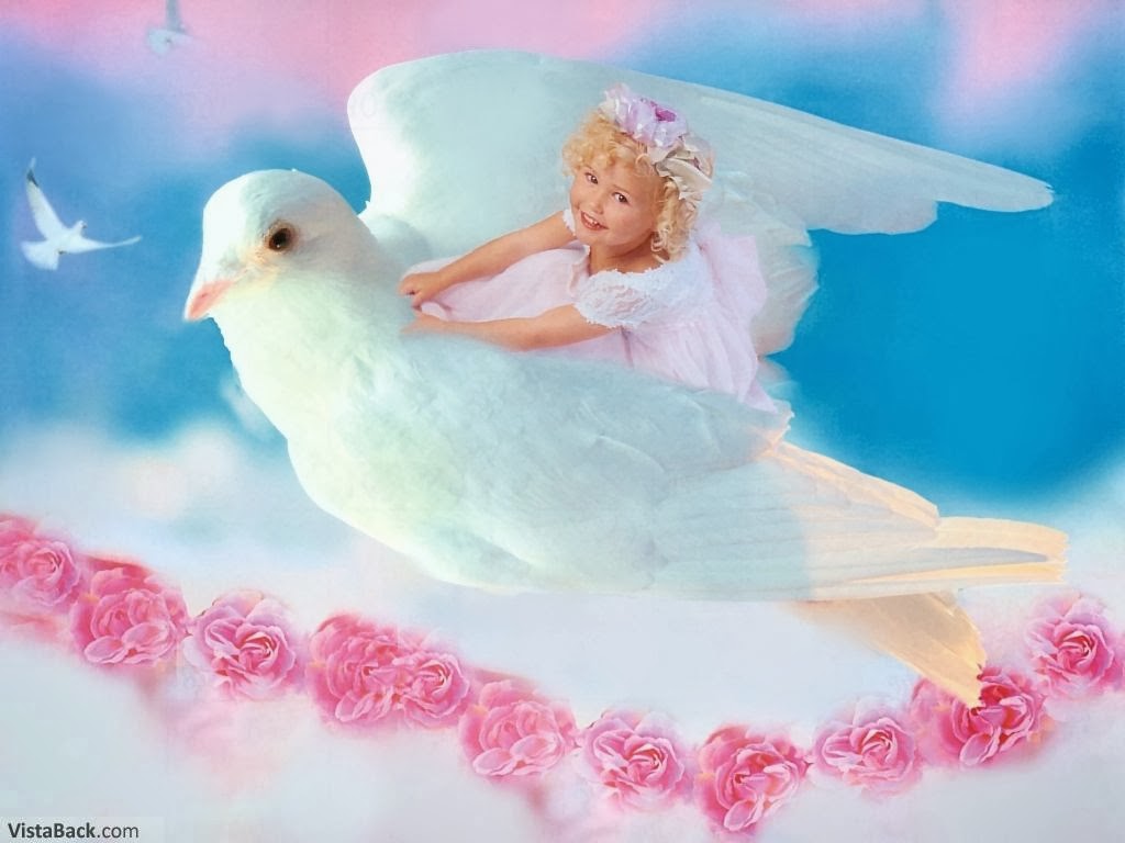 Angels and doves wallpaper - beautiful desktop wallpapers 2014