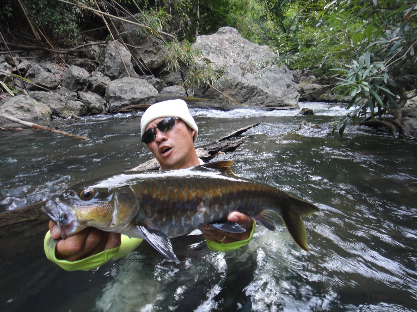Thailand Giant Snakehead (Toman) And Wild Fishing.: The Golden Thai ...