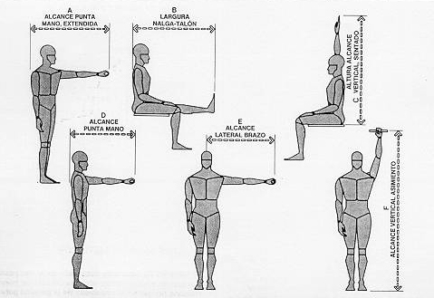 Proyecto Ergonómico