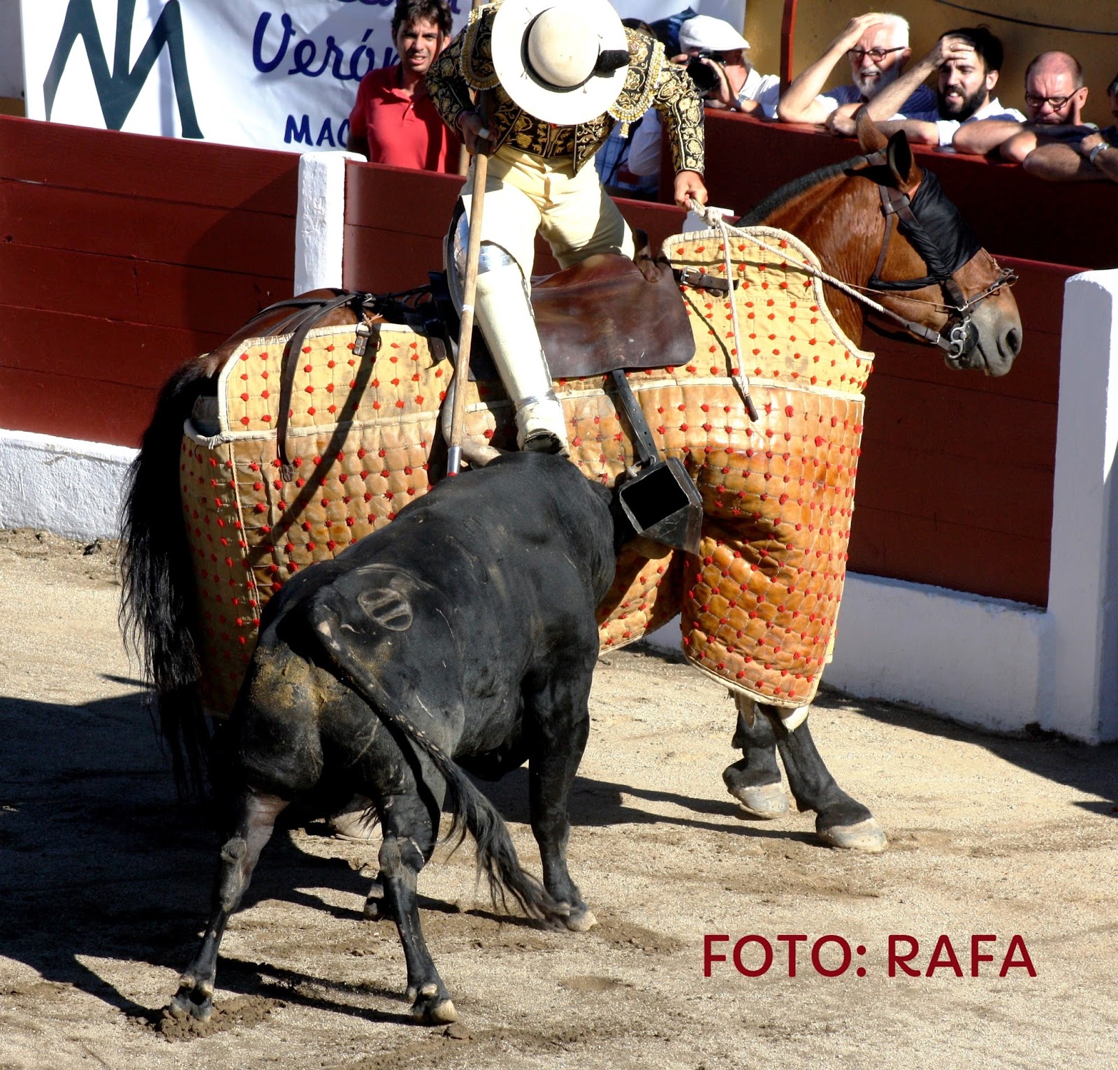 Toreo en Red Hondo: CÉRET DE TOROS, 2017 (3): SALTILLO