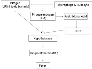 Kesehatan: Mekanisme Demam