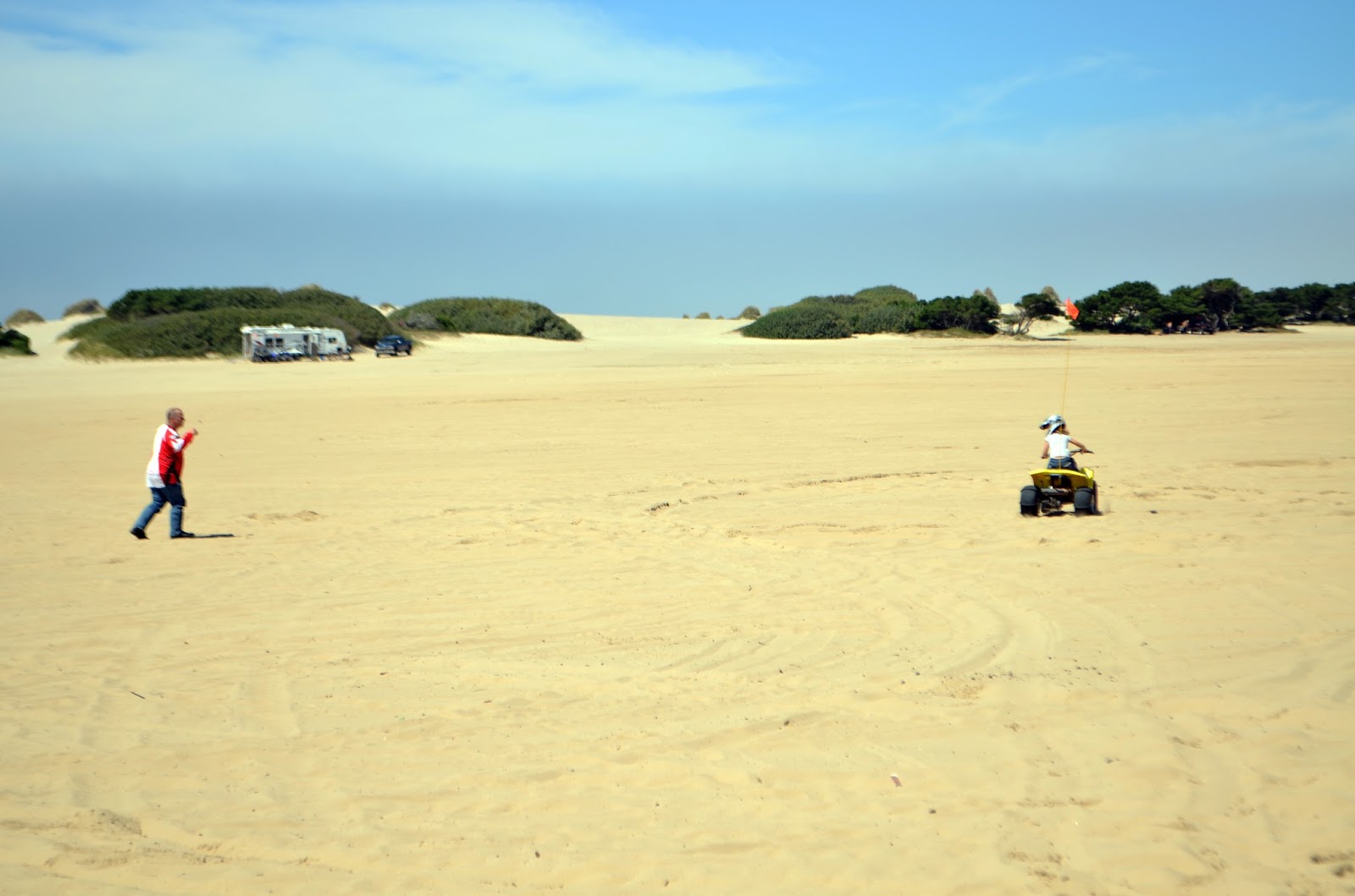 Pleasant Dreams Farm: Sun, sand, fun and crashes.