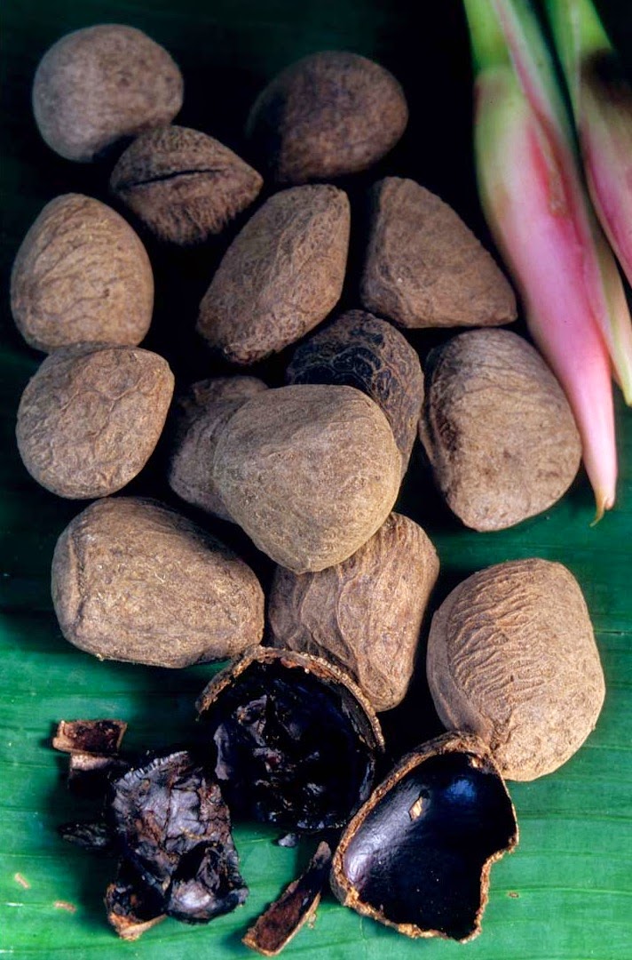 Cinta Budaya Indonesia