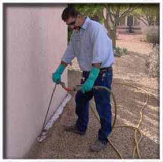 Treatment for termites: Termite Treatment