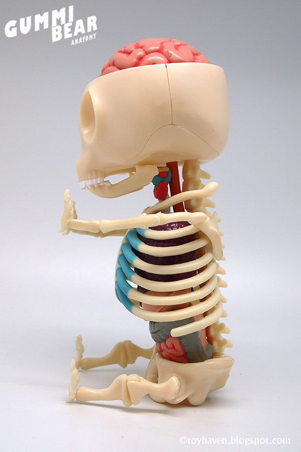 toyhaven: Review Artist Jason Freeny and 4D Master 41-piece 3D Gummi ...