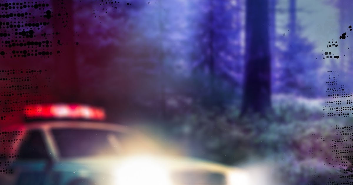 Reading, Writing, and the Stuff In-Between: Susan Page Davis and Free ...