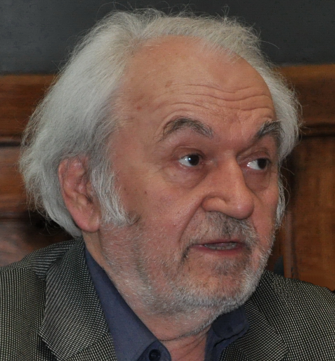 Blogul lui Răzvan Codrescu: CU DR. PAVEL CHIRILĂ DESPRE PROIECTUL NERA