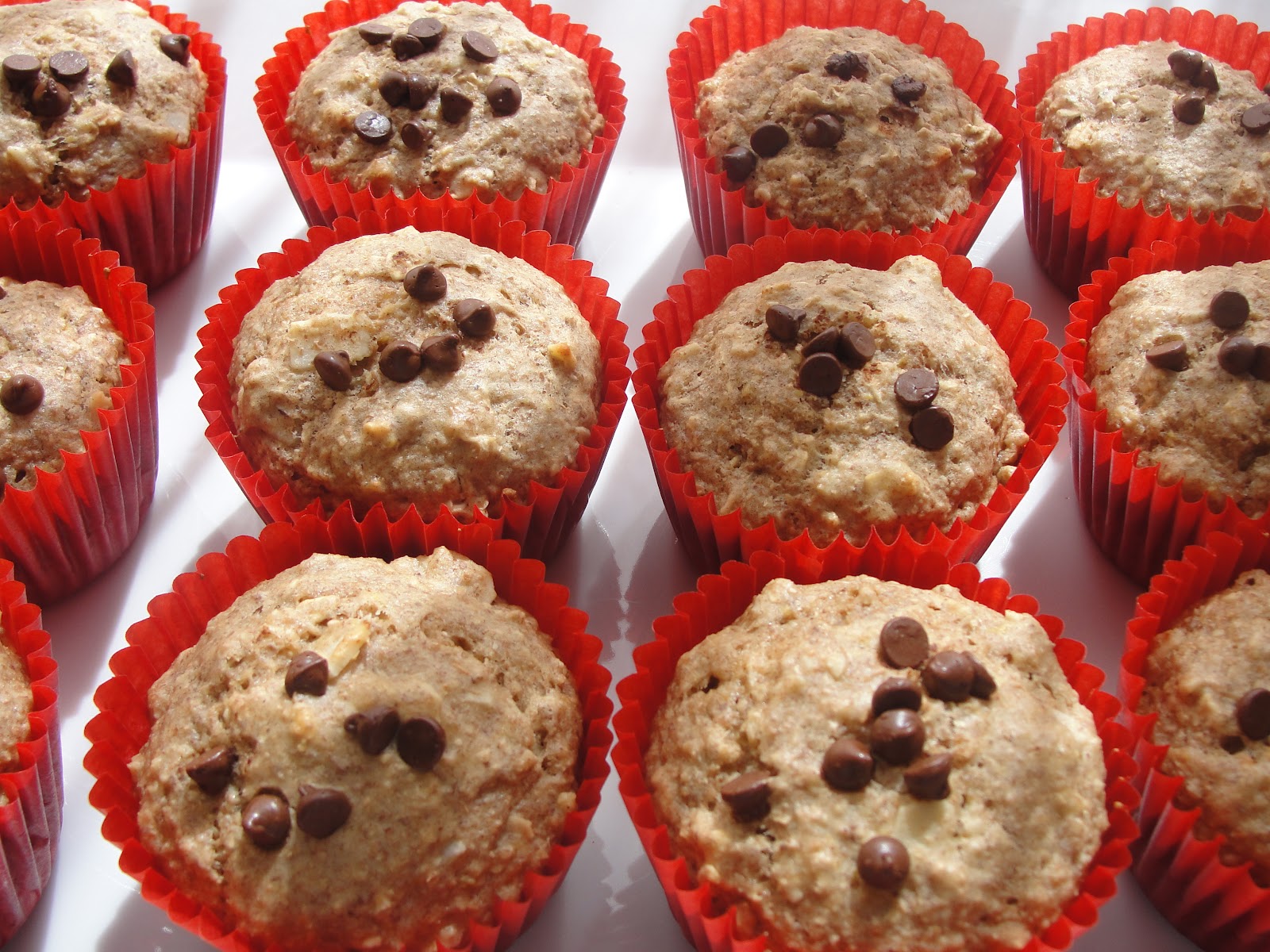 DISFRUTA COCINAR: PANQUES INTEGRALES