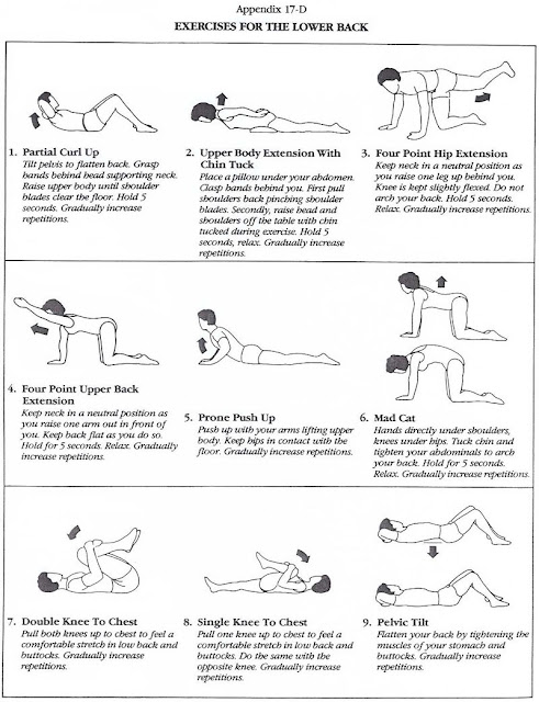 exercises for the lower back | Fat burning exercises