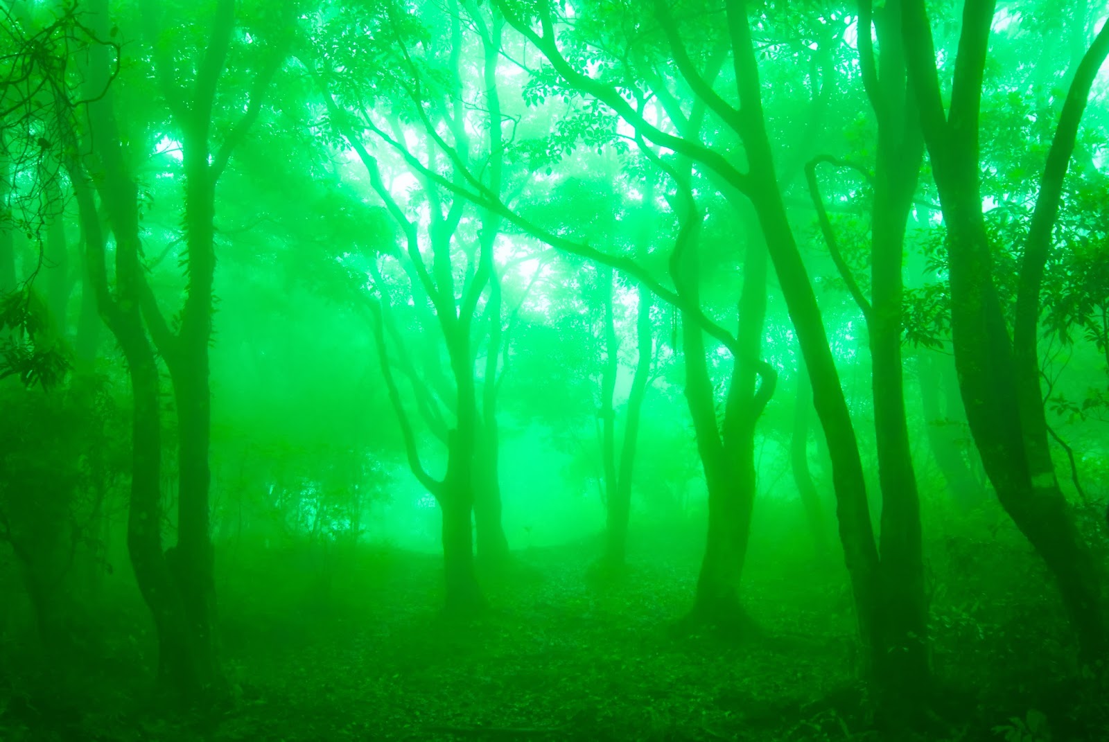 LORILYN ROBERTS BOOK REVIEW: “Wuthering Heights” by Emily Bronte ...