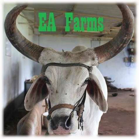 EnviroApps: January 2017