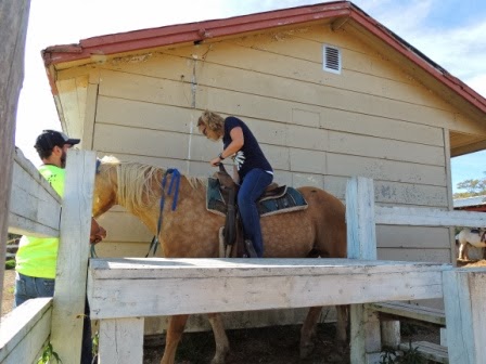 Teena in Toronto: Horseback riding at Broadleaf Ranch, NB